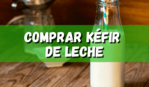 TODO Sobre el Kéfir de Leche | Guía Completa【2026】